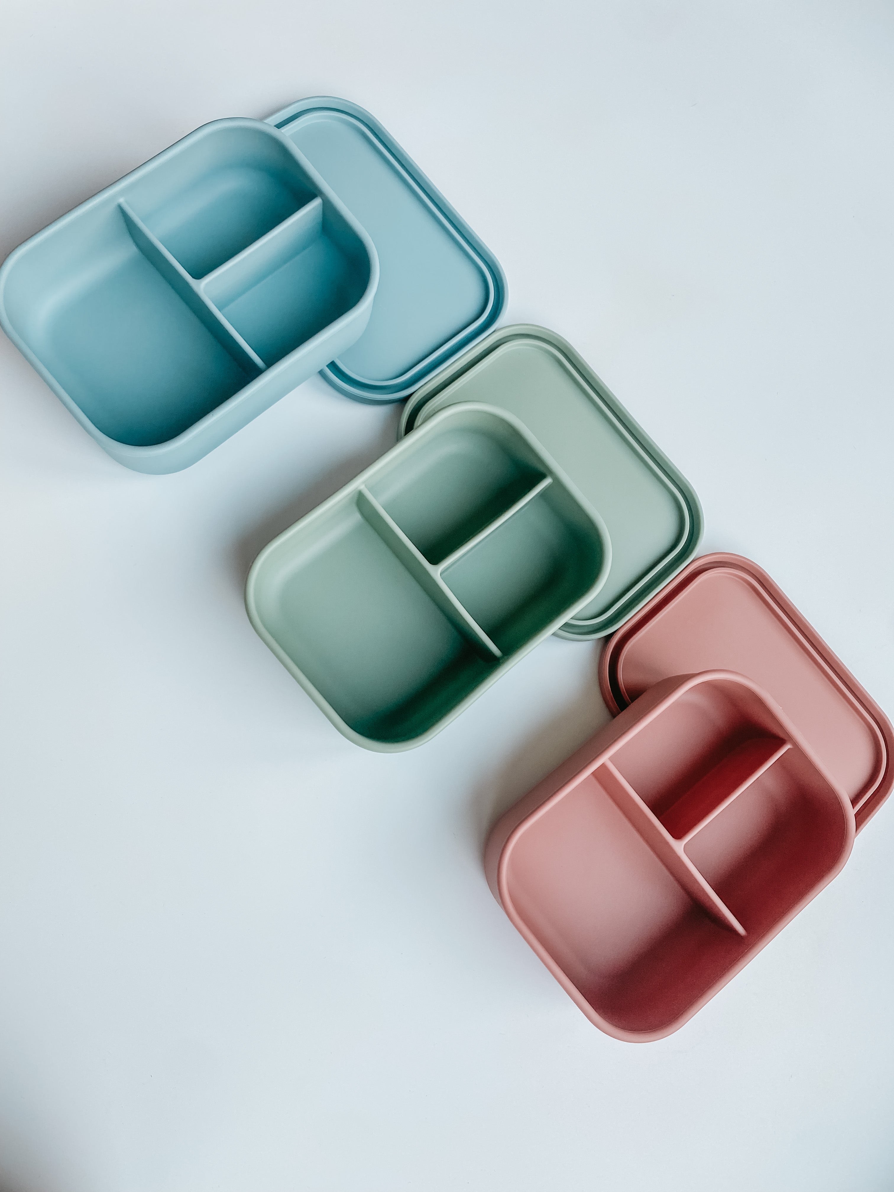 Bento Lunchboxes – The Dotty Ducks